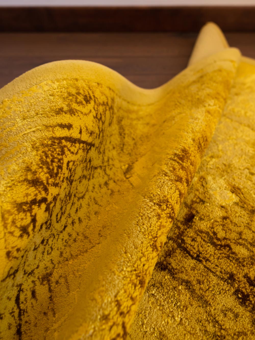 80x140cm Vonios kambario kilimai / Kilimai į koridorių - Chameleonas ...